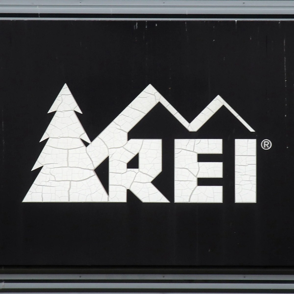 rei logo vector