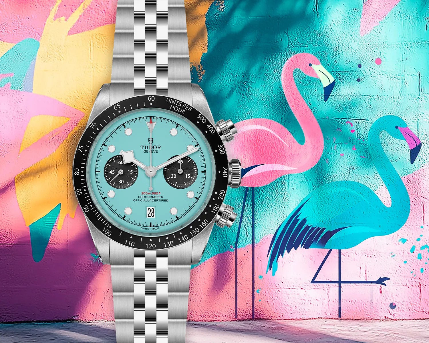 Tudor Just Launched the Perfect Sequel to Last Year's Hottest ...