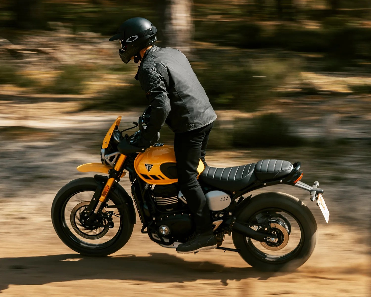 Triumph’s Best-Looking Affordable Scrambler Is Finally Coming to the US ...