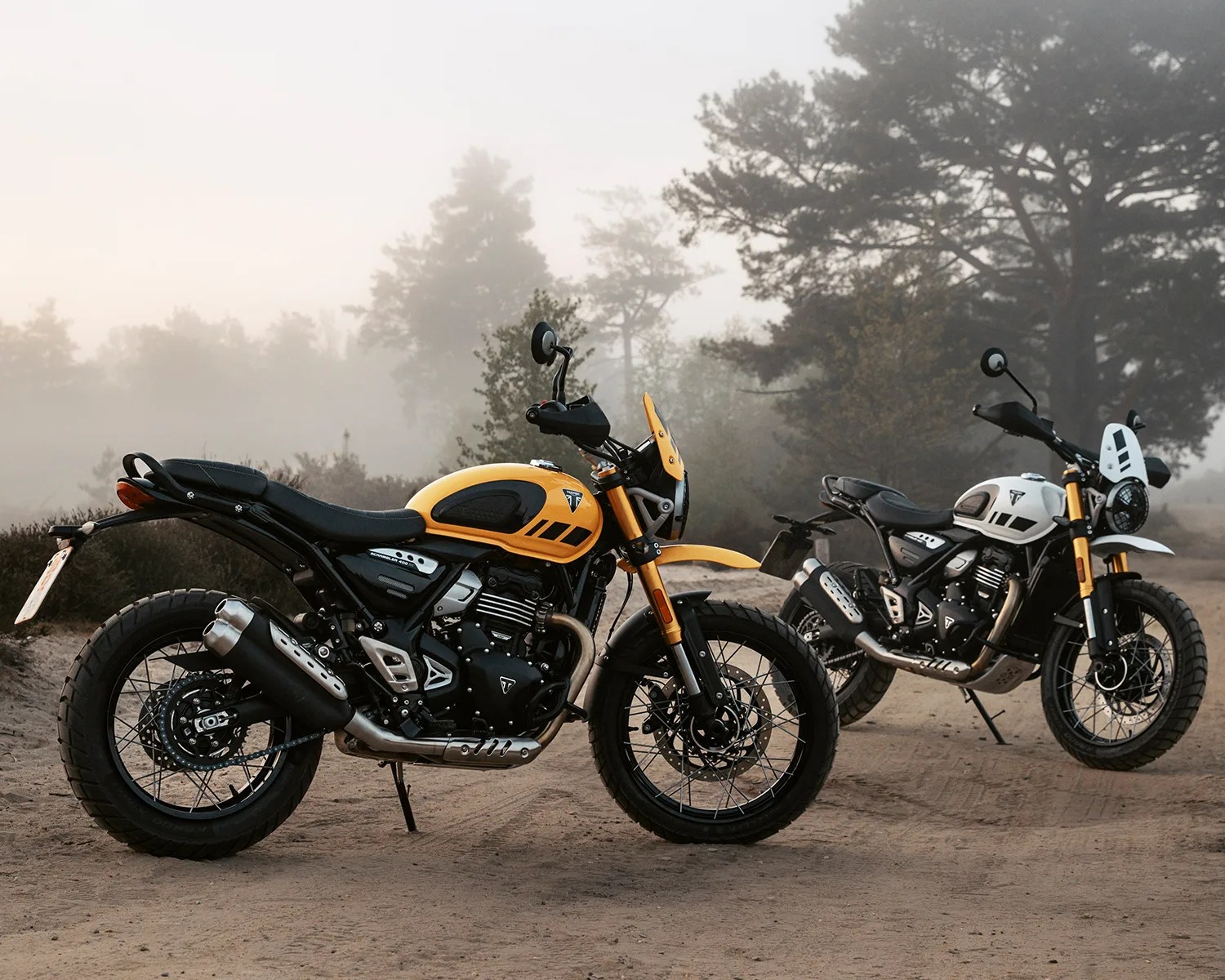 Triumph’s Best-Looking Affordable Scrambler Is Finally Coming to the US ...