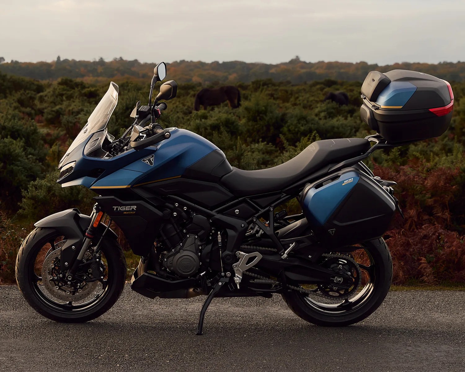 Triumph’s Gorgeous, Approachable New Adventure Moto Might Be Its Best ...