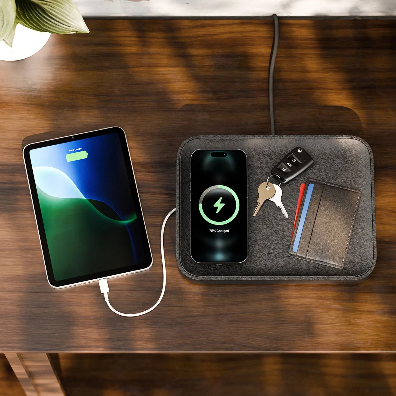 These Head-Turning Skis Bring a Fundamental Technique to Life | Gear Patrol