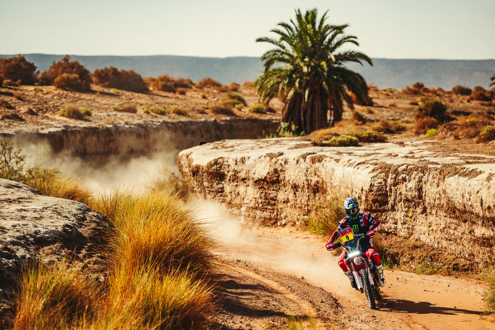 Honda Just Greenlit Some Elite JDM Upgrades for American Motorcyclists ...